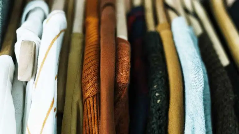 Is It Better to Have a Long or Short Torso? Exploring Body Proportions ...