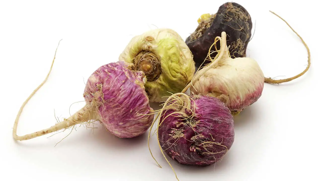 Which Maca Root is Best? A Quick Guide for Top Choices - ListedFit