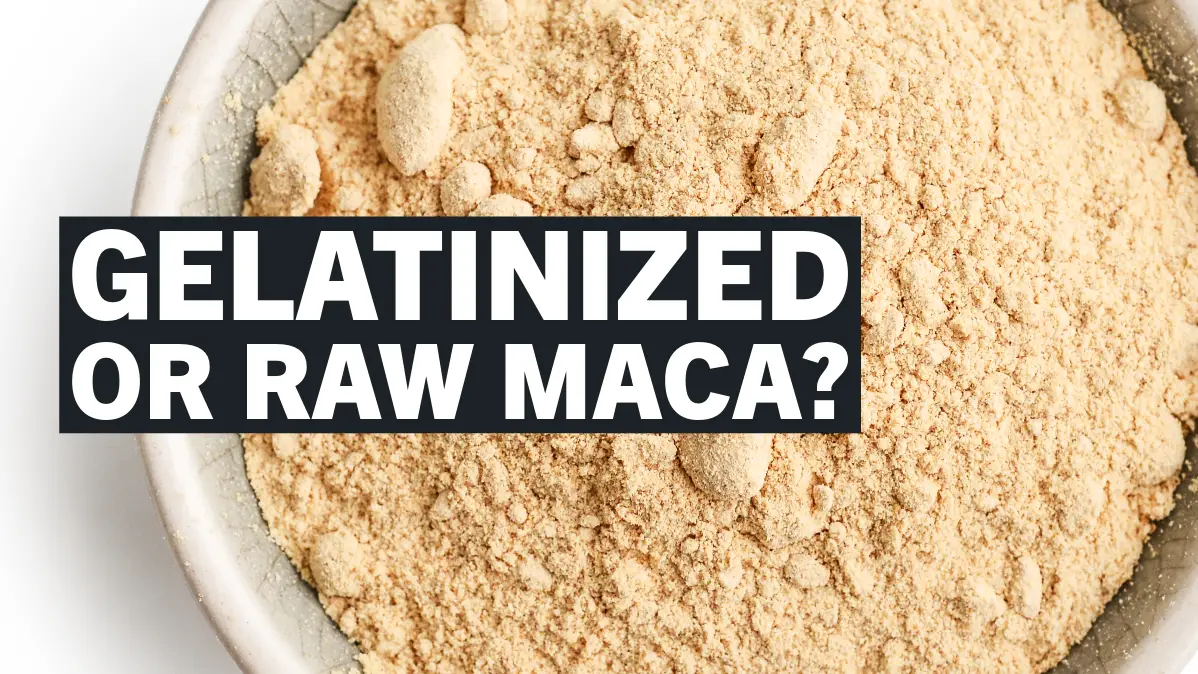 Raw vs Gelatinized Maca: Understanding the Key Differences and Benefits ...